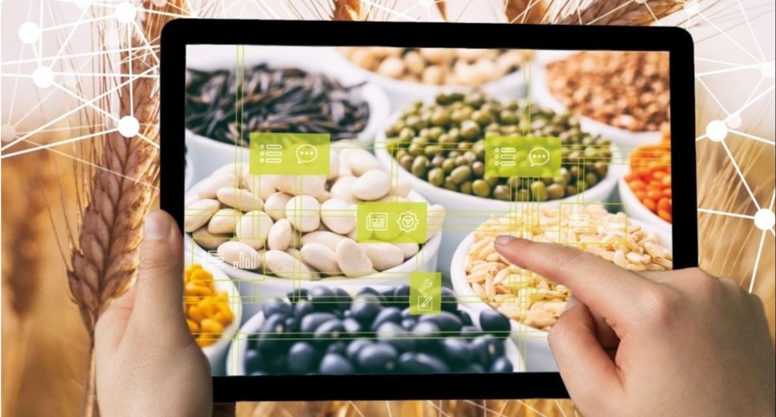 EHEDG: Food safety, quality, productivity, sustainability | EHEDG